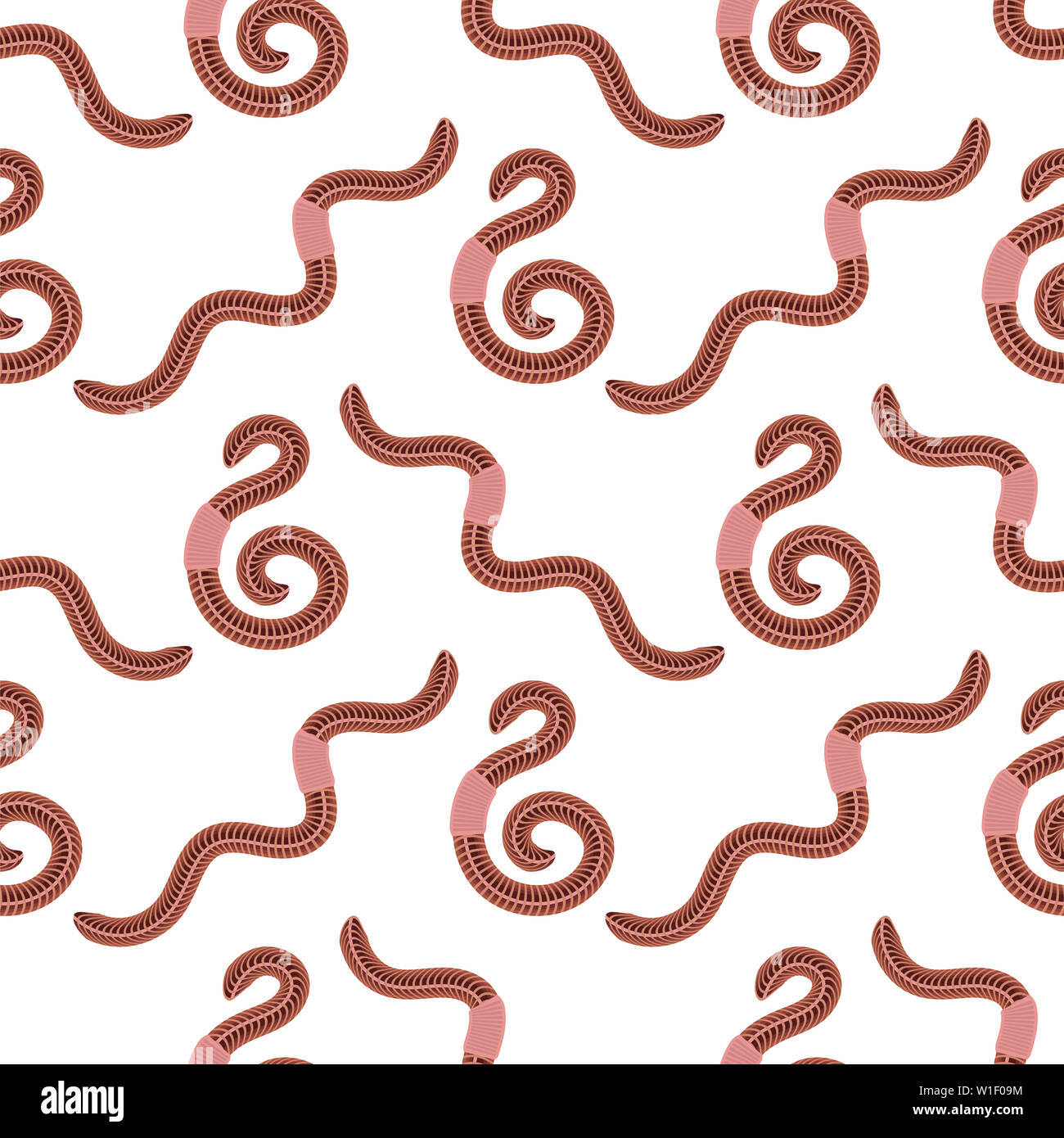 Animal Earth Red Worms for Fishing Seamless Pattern Stock Photo - Alamy