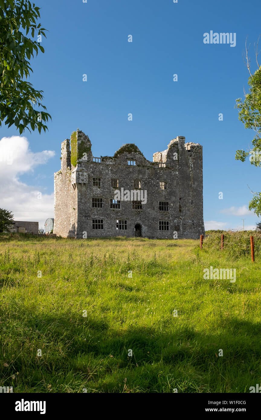 A portrait view of a huge magnificent looking ruins of an Irish Castle ...