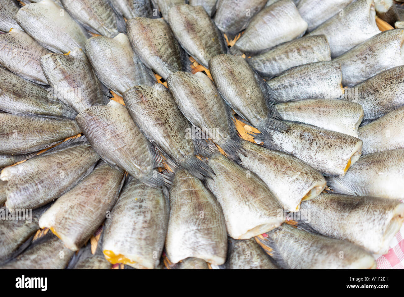 Dried fish from solar energy Is a local food processing of Thai people ...