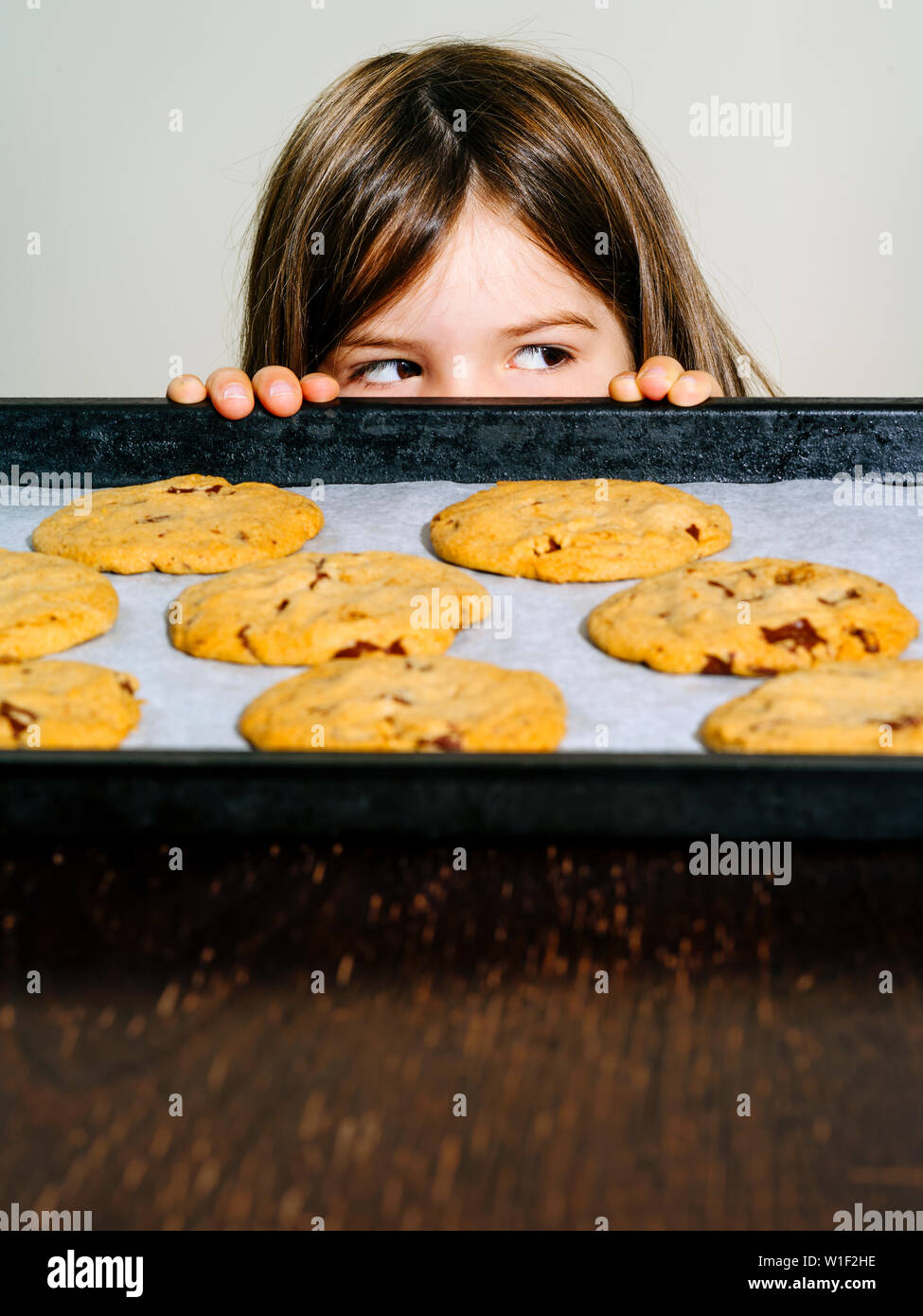 Photo of a young girl staring at a tray of warm chocolate chip cookies ...