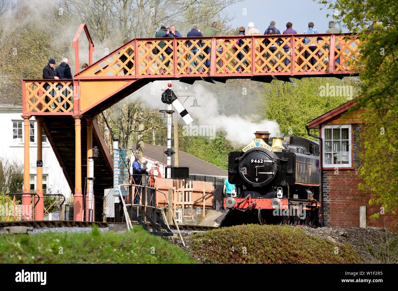 GWR Class 9400 pannier tank No 9466 at Buckfastleigh during the South ...