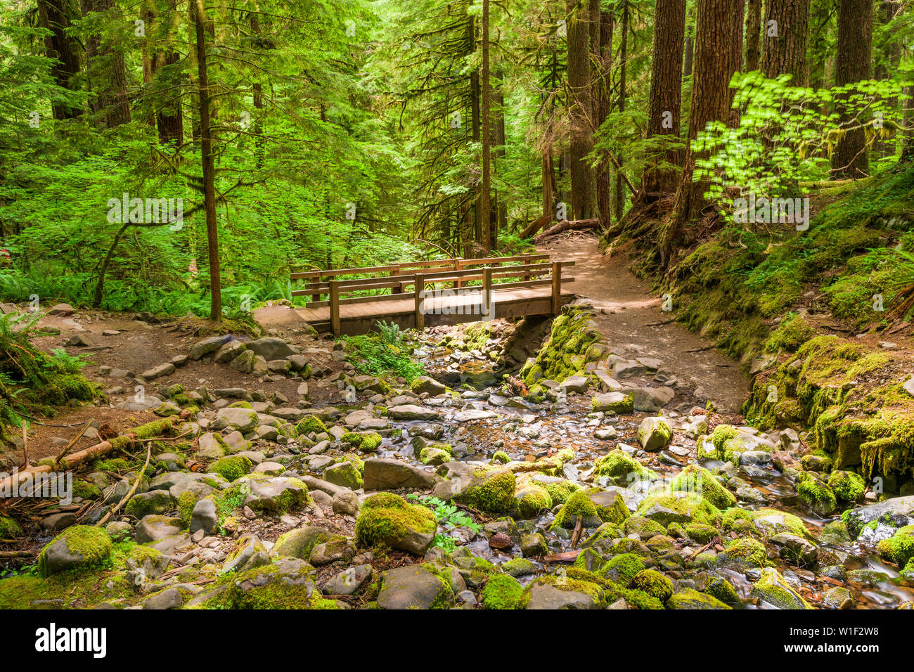Sol duc falls trail hi-res stock photography and images - Alamy