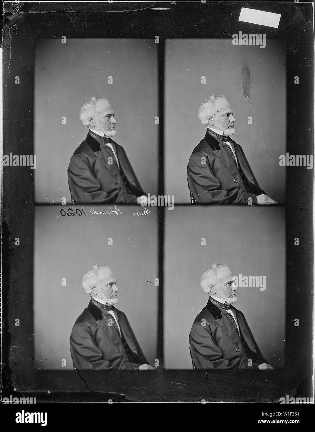 Polland hi-res stock photography and images - Alamy