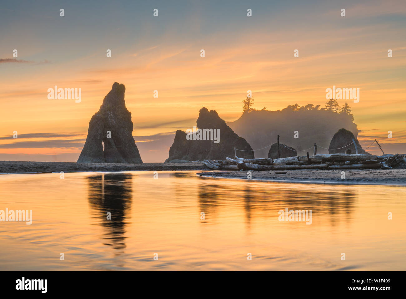 Olympic National Park, Washington, USA at Ruby Beach Stock Photo - Alamy