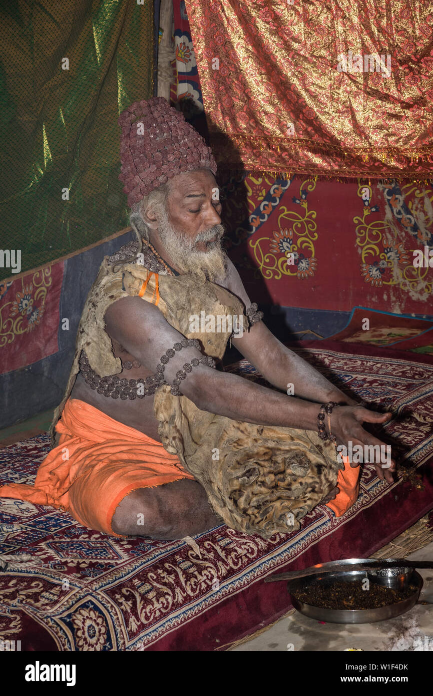 Rome Baba in his tent, For Editorial Use Only, Allahabad Kumbh Mela ...
