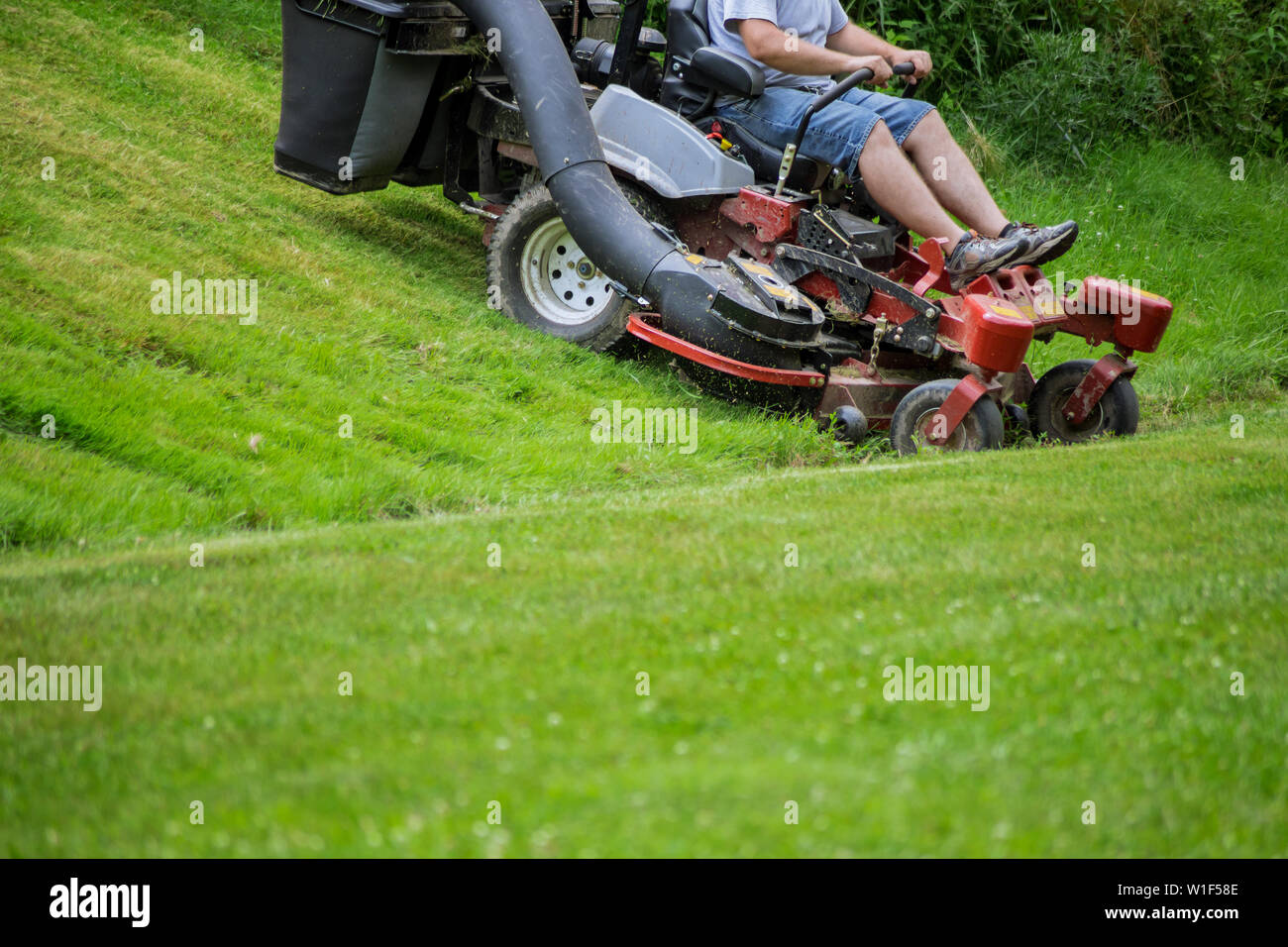 Red Lawn mower cutting gardening grass process of lawn mowing Stock ...