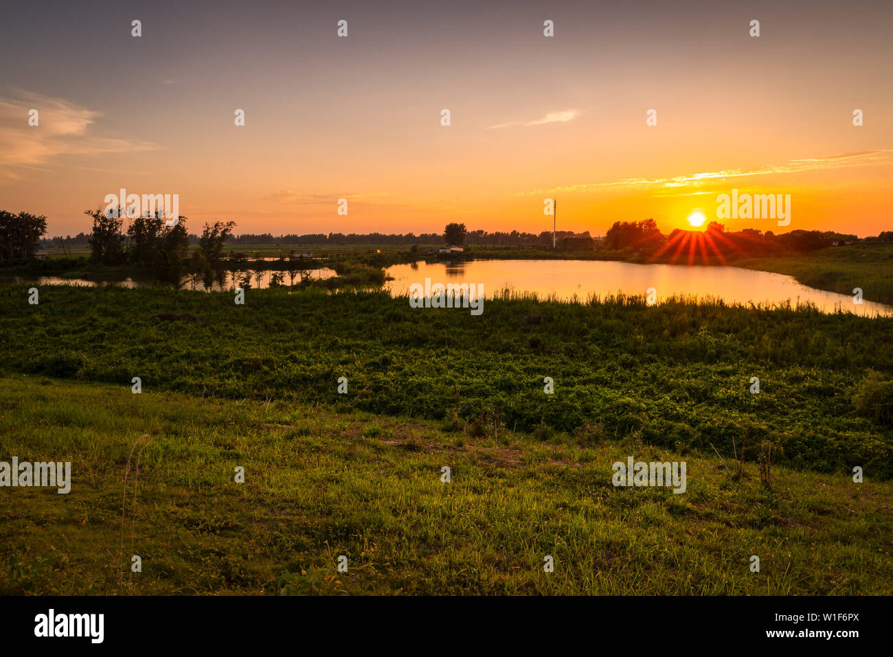 nature farm dawn agriculture sun Stock Photo - Alamy
