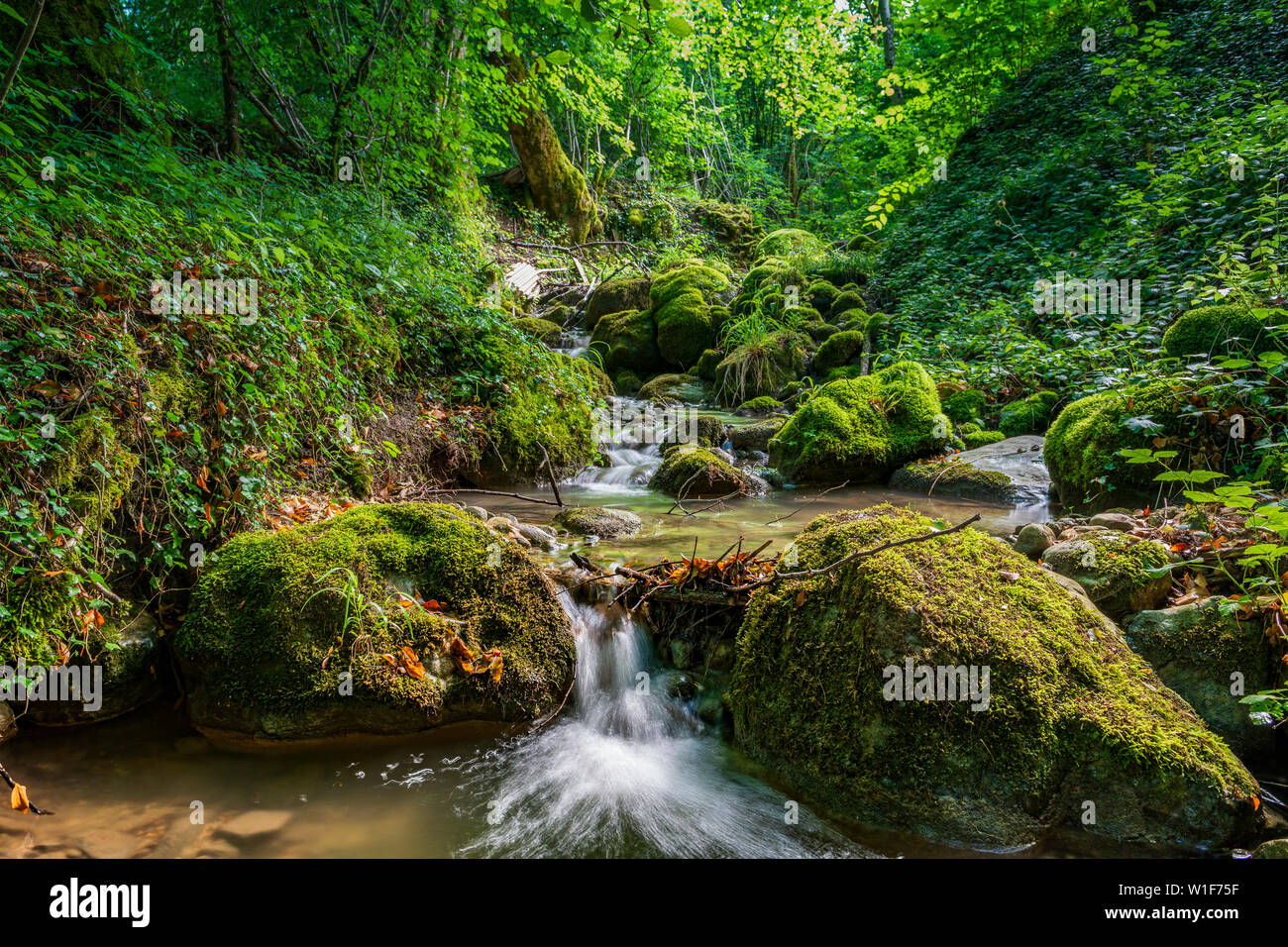 Beautiful mountain gorge with small waterfall deep in the forest near ...