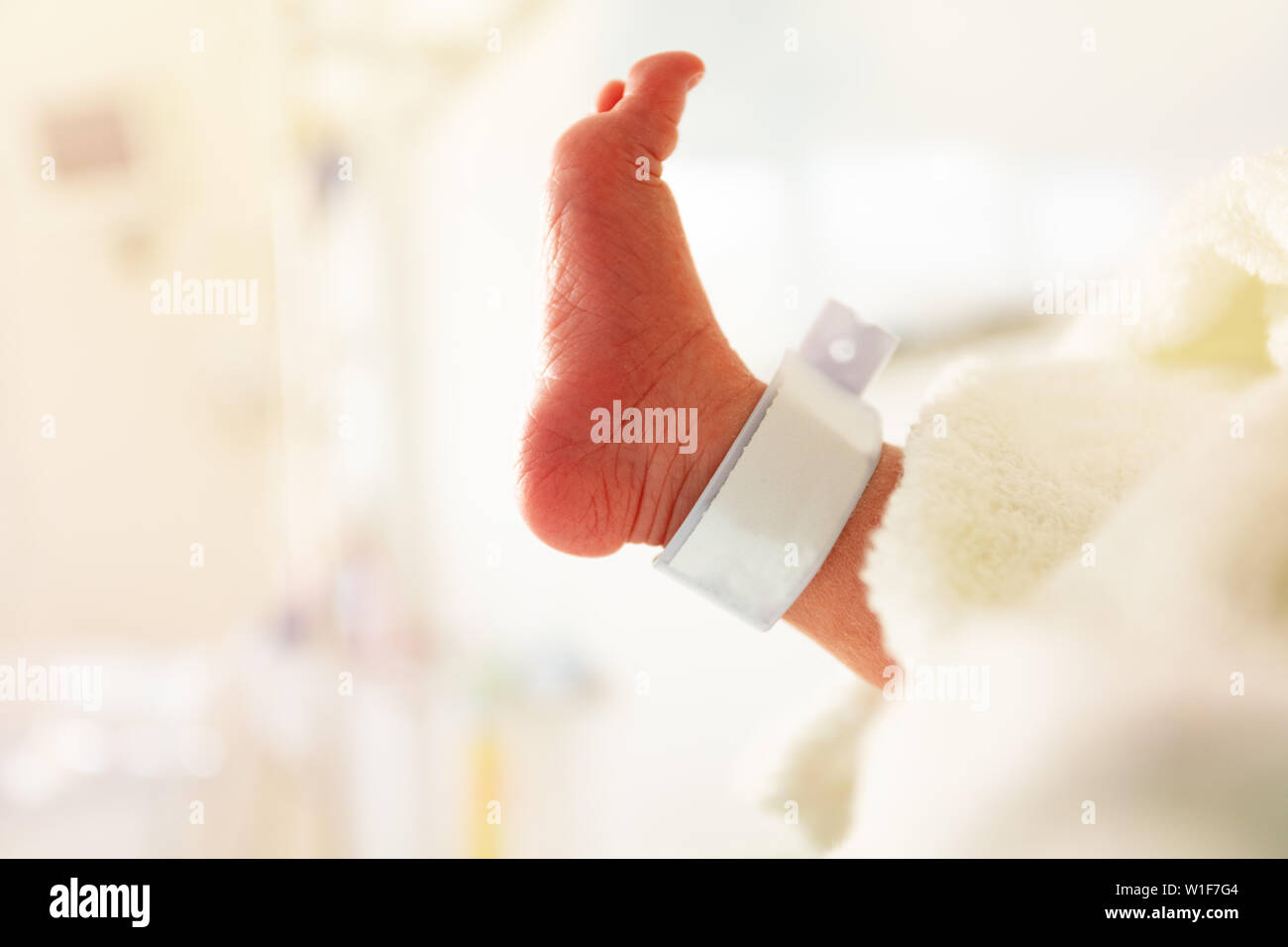 Profile view of newborn child's feet with label from maternity ward ...