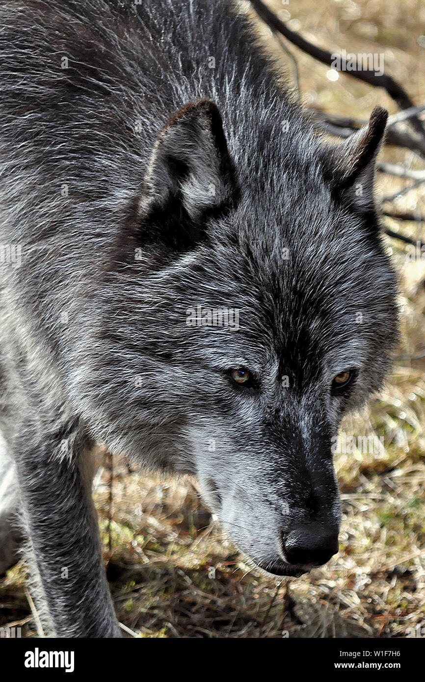 Wonderful Surprise High Resolution Stock Photography and Images - Alamy