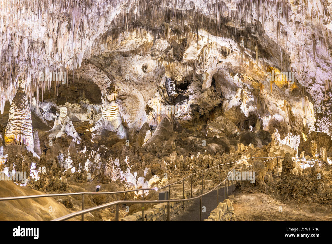 Carlsbad Cavern National Park, New Mexico, USA inside of the Big Room ...