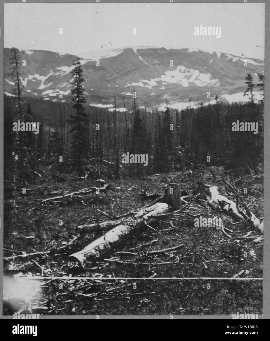 Horseshoe Mountain, from below. Park County, Colorado Stock Photo - Alamy