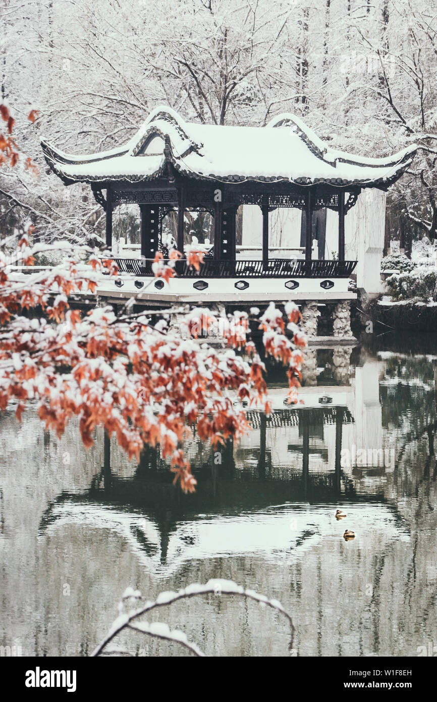 Frost wood hi-res stock photography and images - Alamy