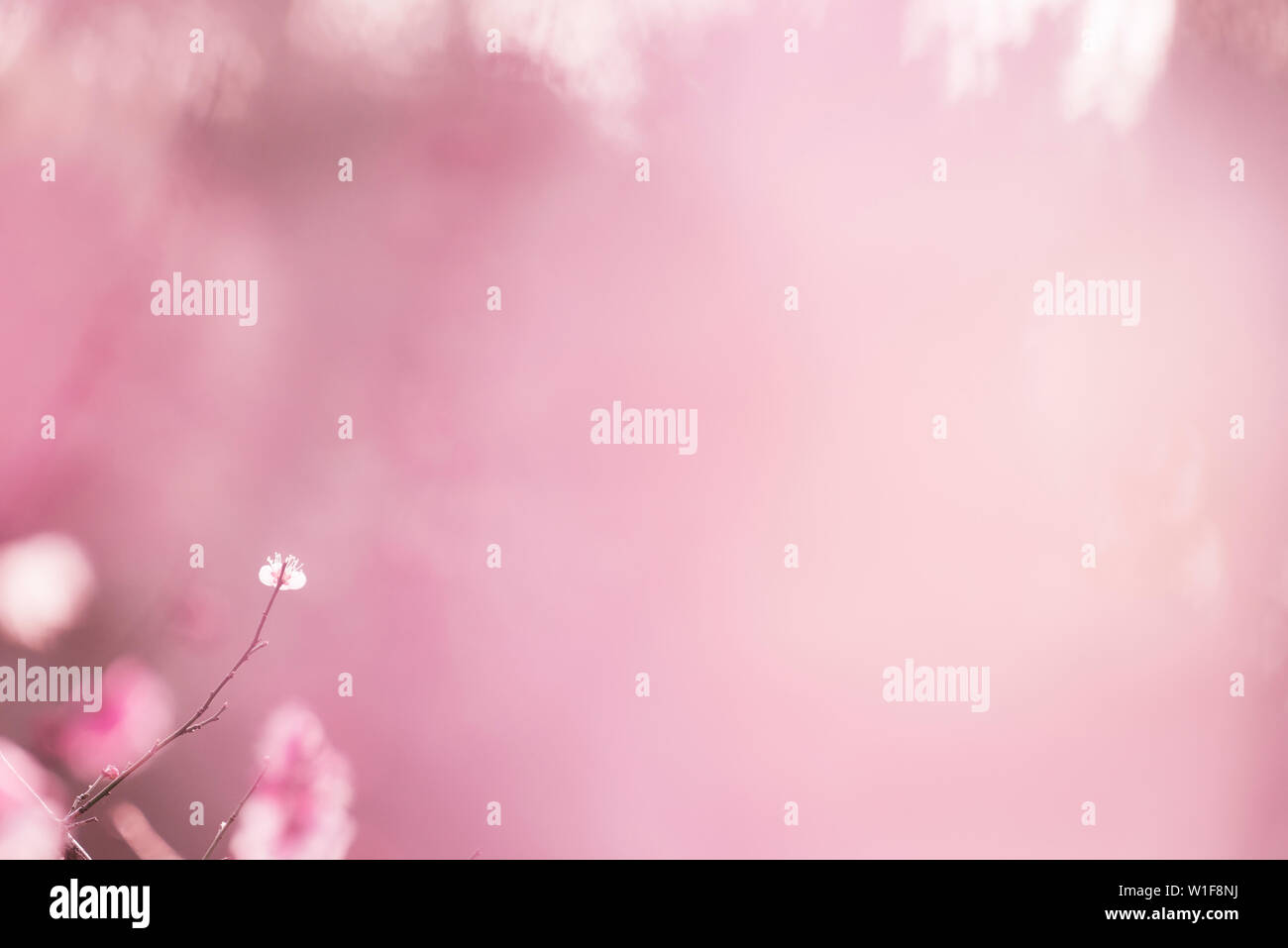 Nature bright hi-res stock photography and images - Alamy