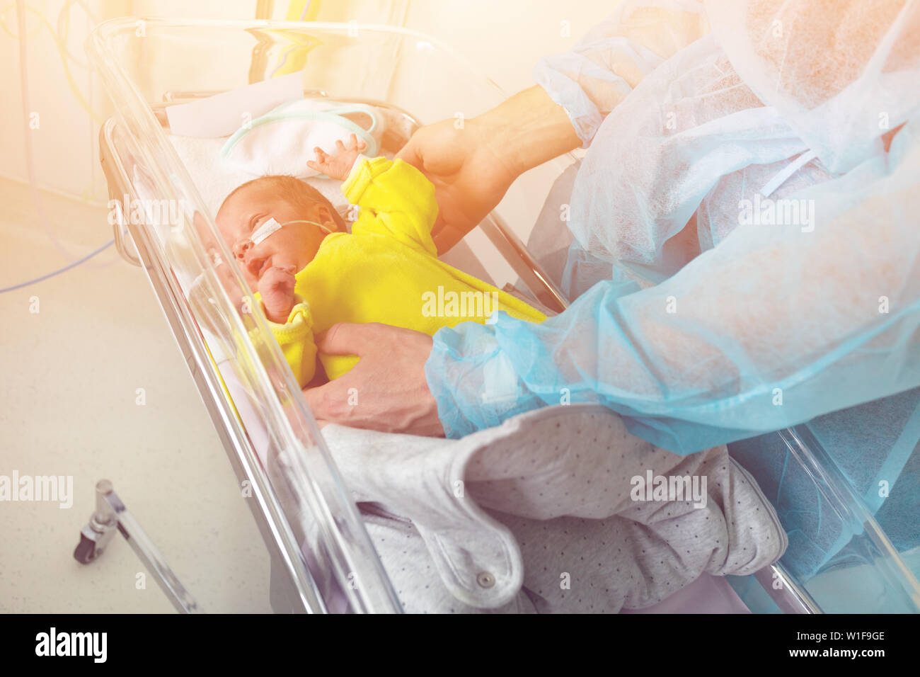 Parent's hands and premature born baby in the ICU crib in hospital ...