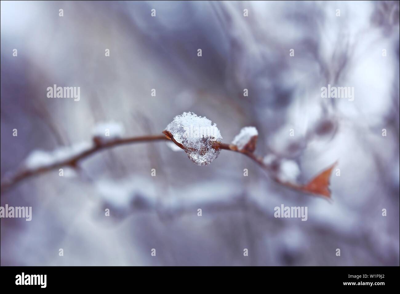ice cold winter season frostyweather Stock Photo - Alamy