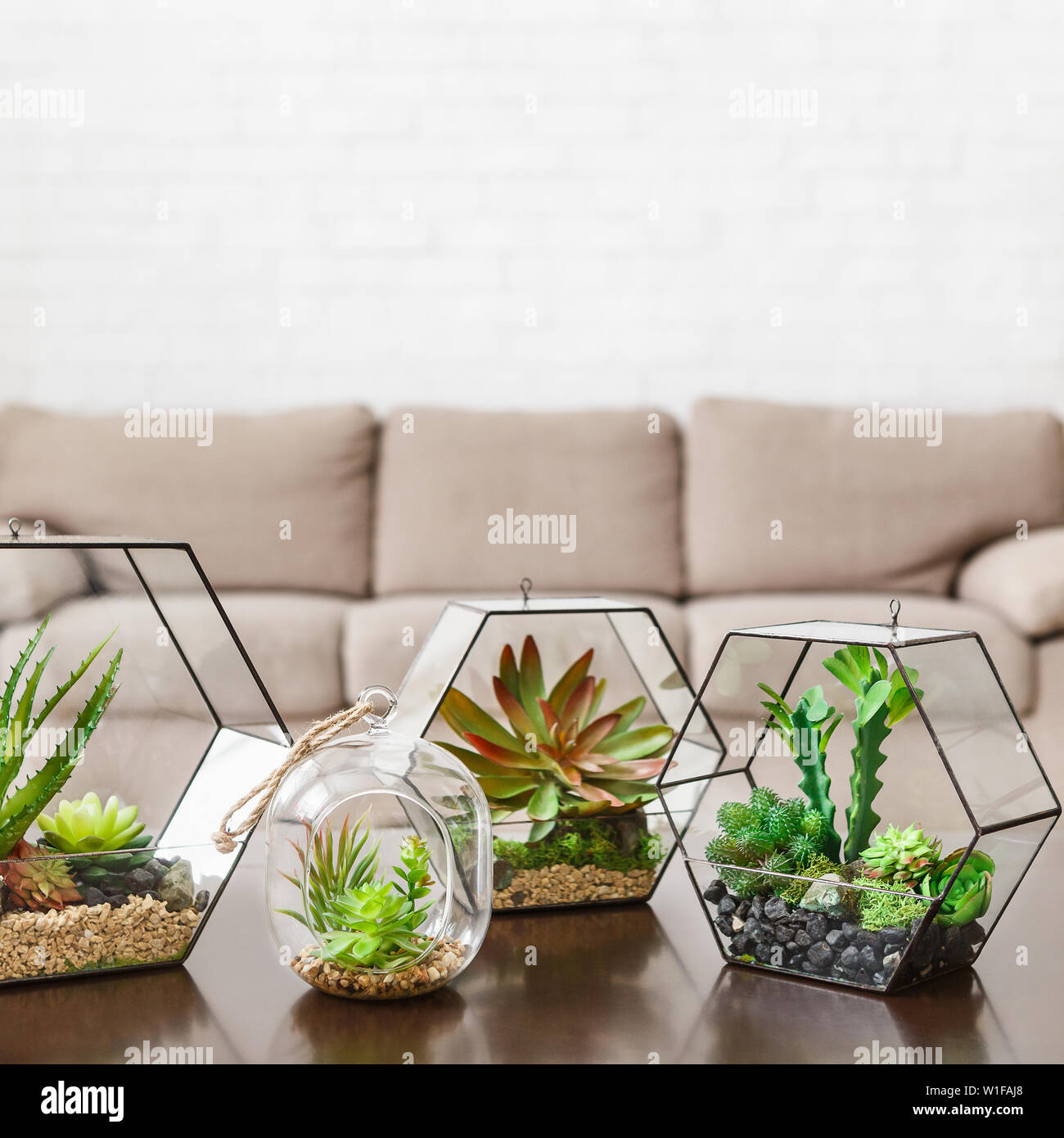 Indoor plants in florarium vases on table Stock Photo - Alamy