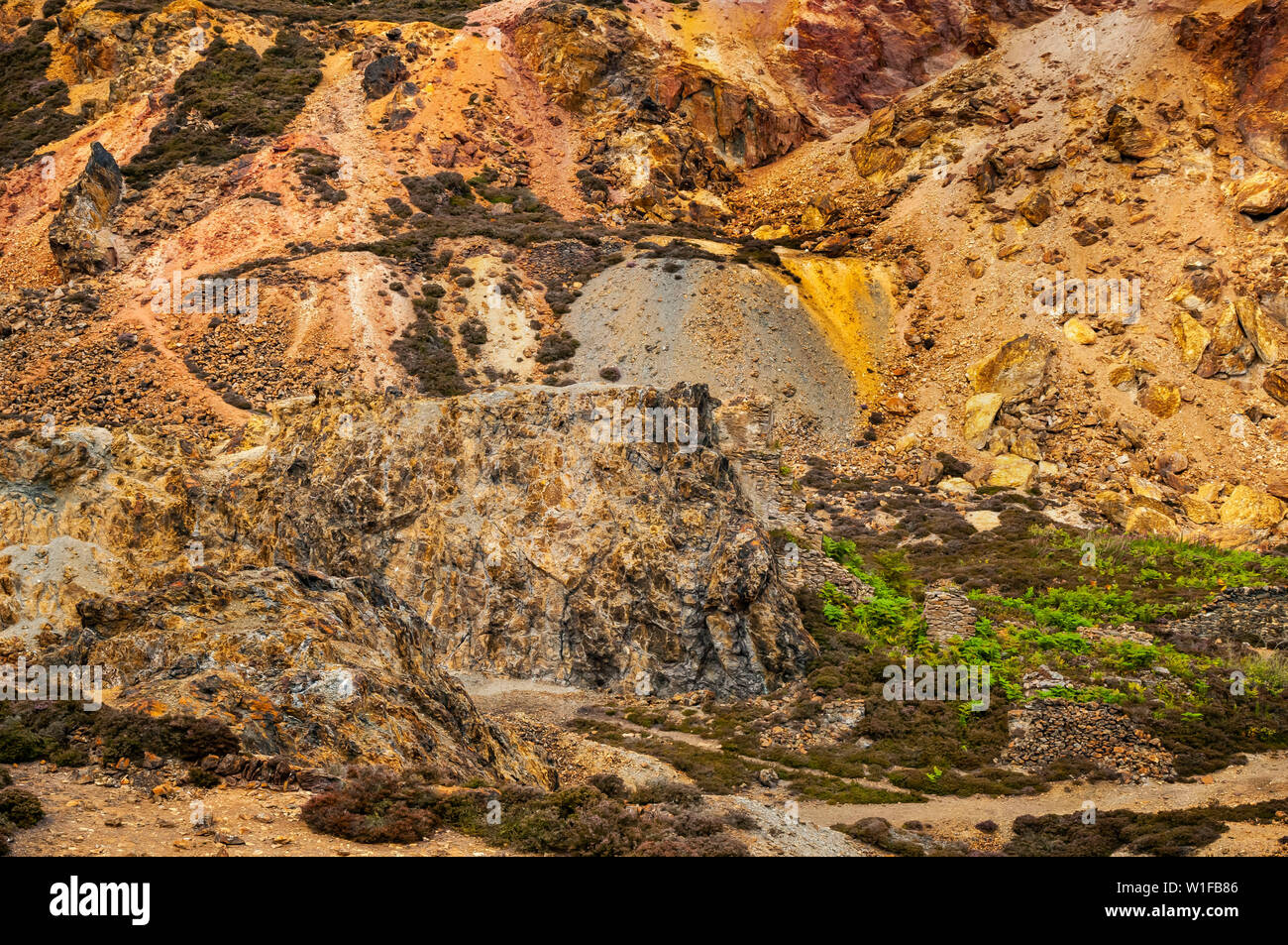 Welsh fossils hi-res stock photography and images - Alamy