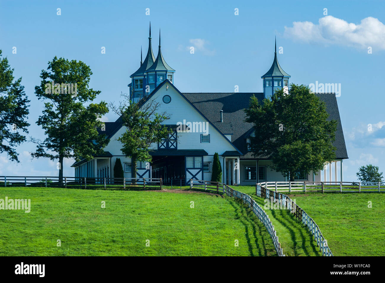 Manchester horse farm hi-res stock photography and images - Alamy