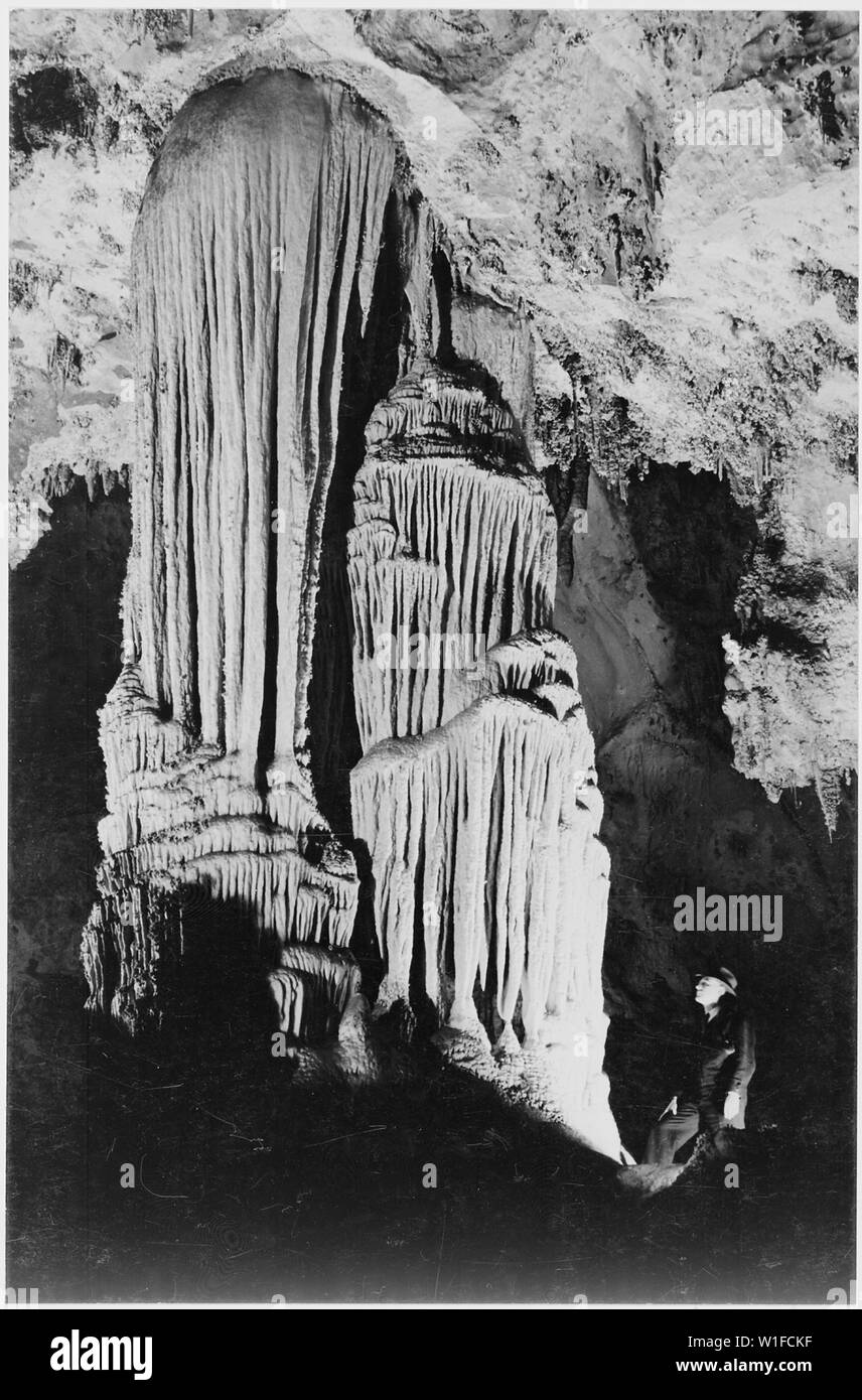 Large stalactite formation in the kings palace hi-res stock photography ...
