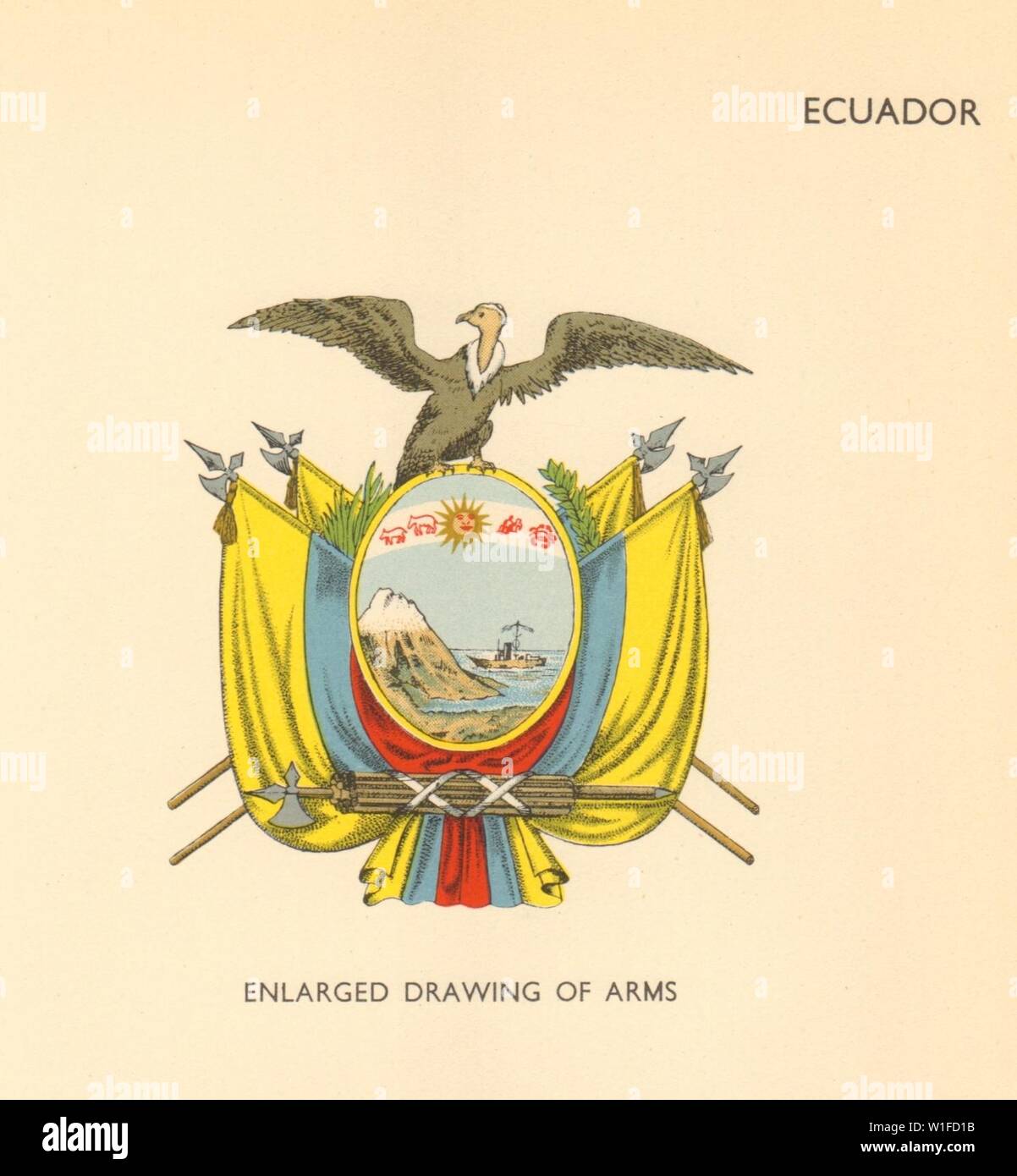 ECUADOR FLAGS. Enlarged Drawing of Arms 1955 old vintage print picture ...