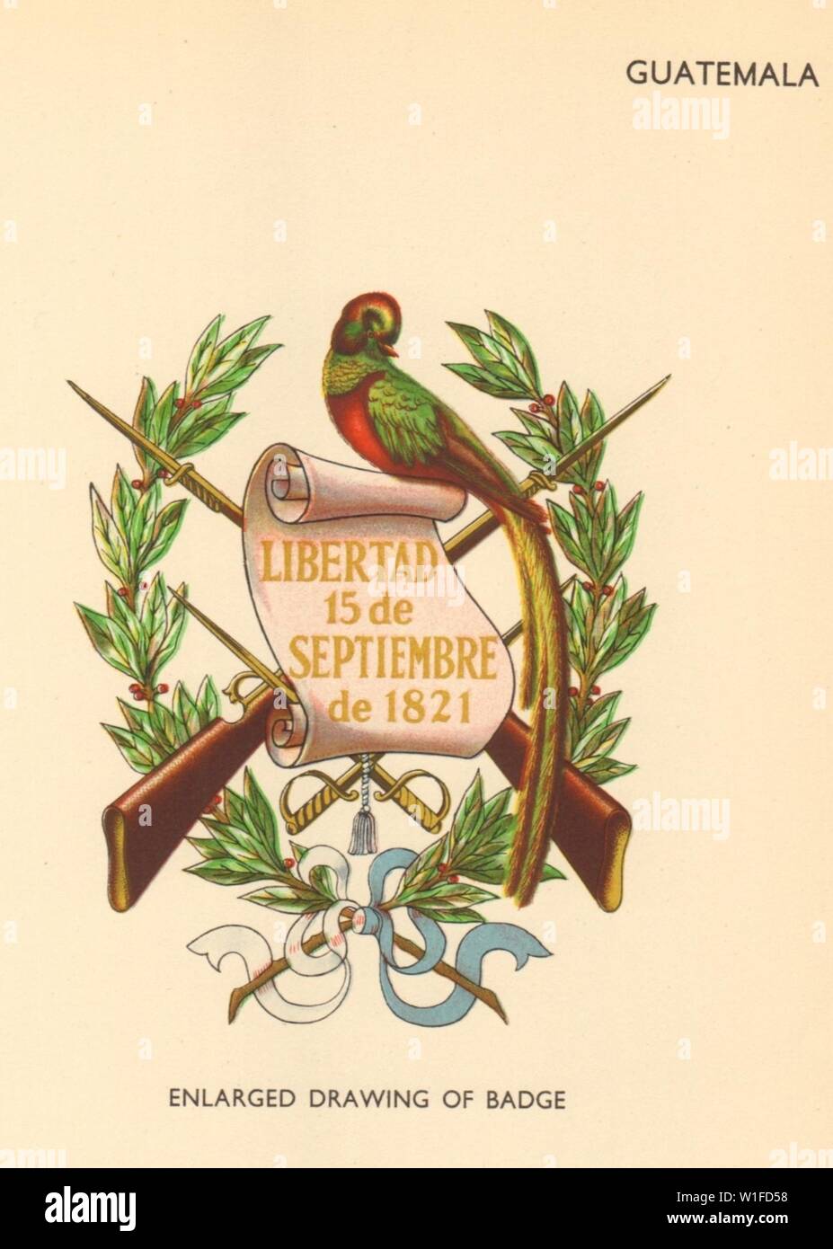 GUATEMALA FLAGS. Enlarged Drawing of Flag 1955 old vintage print ...