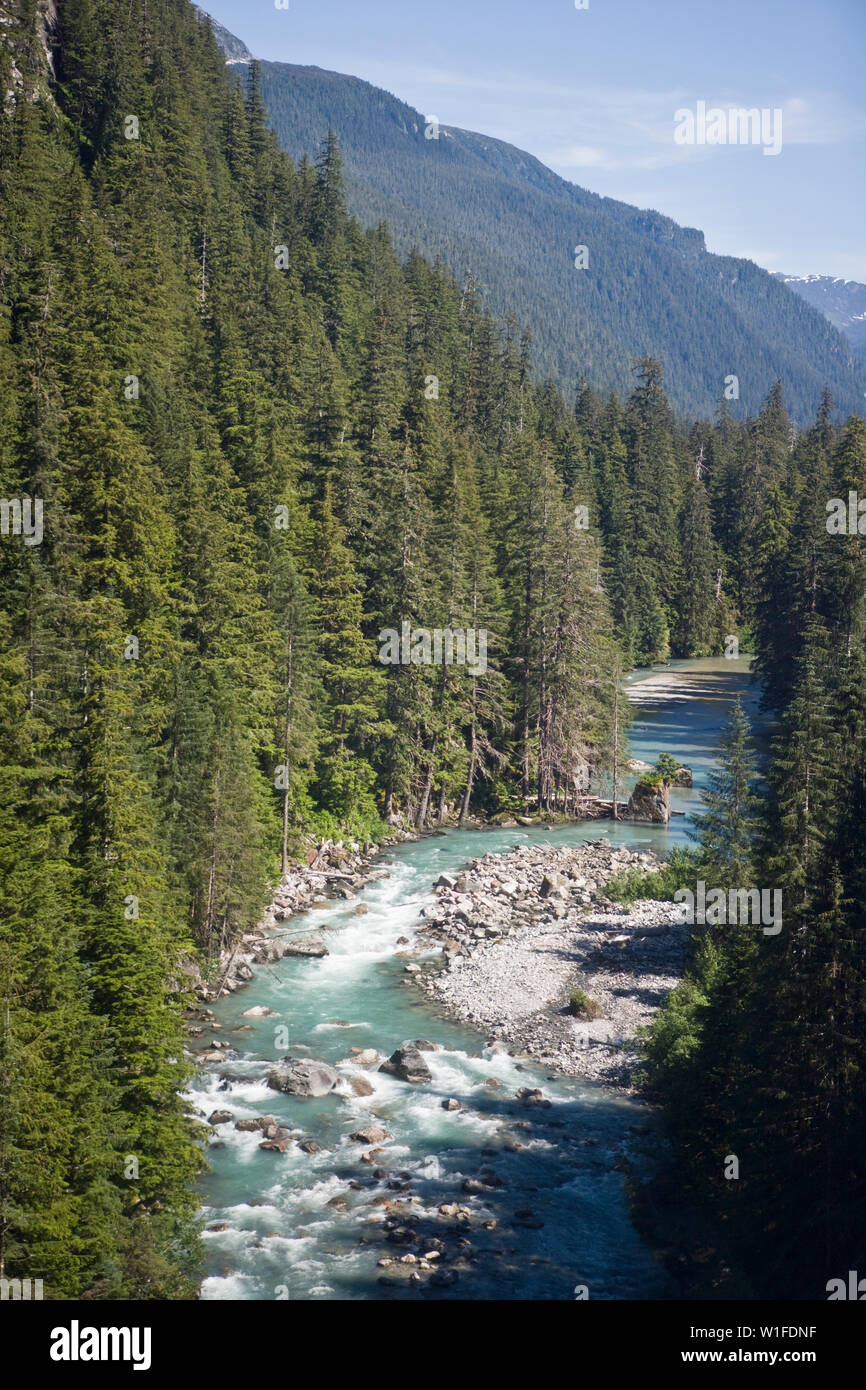 River running through forest in valley Stock Photo - Alamy