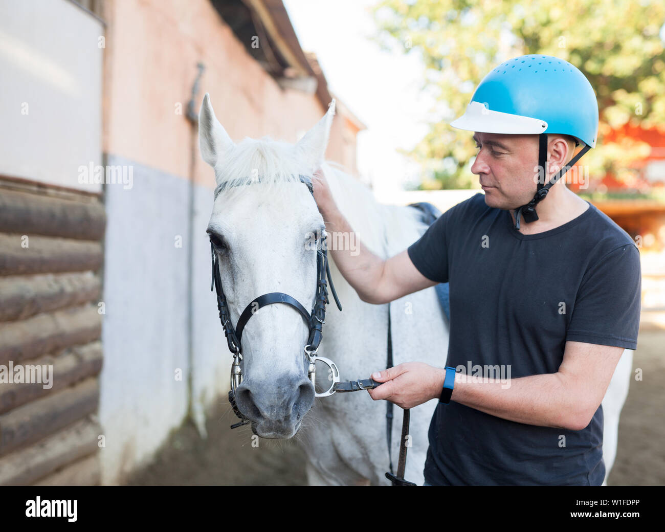 Positive male farmer in helmet standing with white horse at stable ...