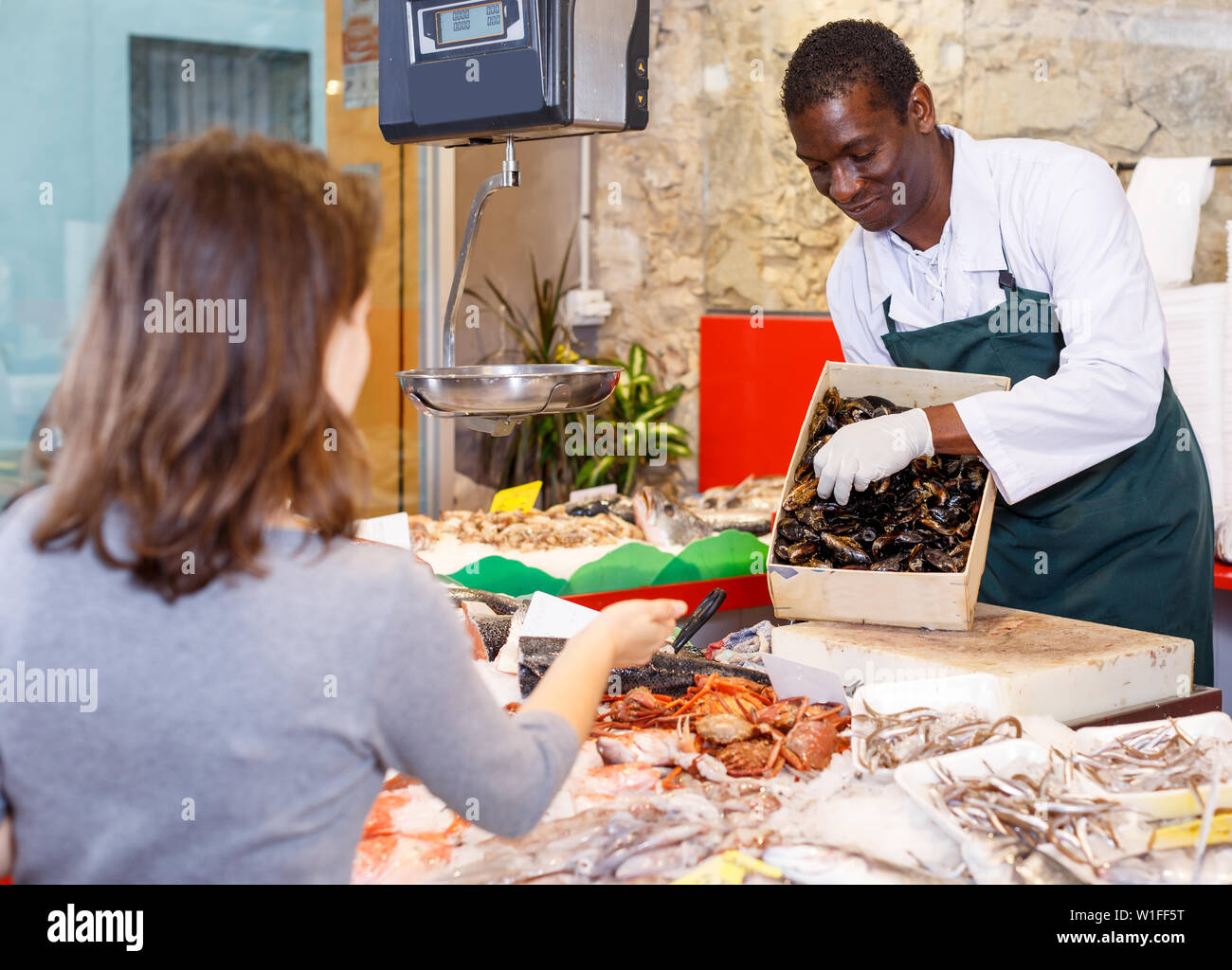 Young clams hi-res stock photography and images - Alamy