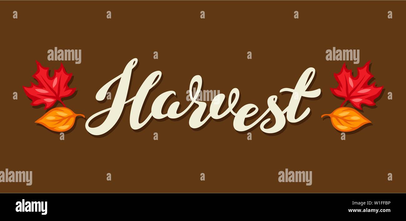 Harvest typography letteringemblem. Autumn background Stock Vector ...