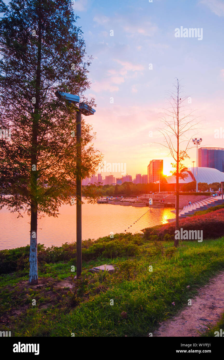 tree dawn nature landscape Stock Photo - Alamy