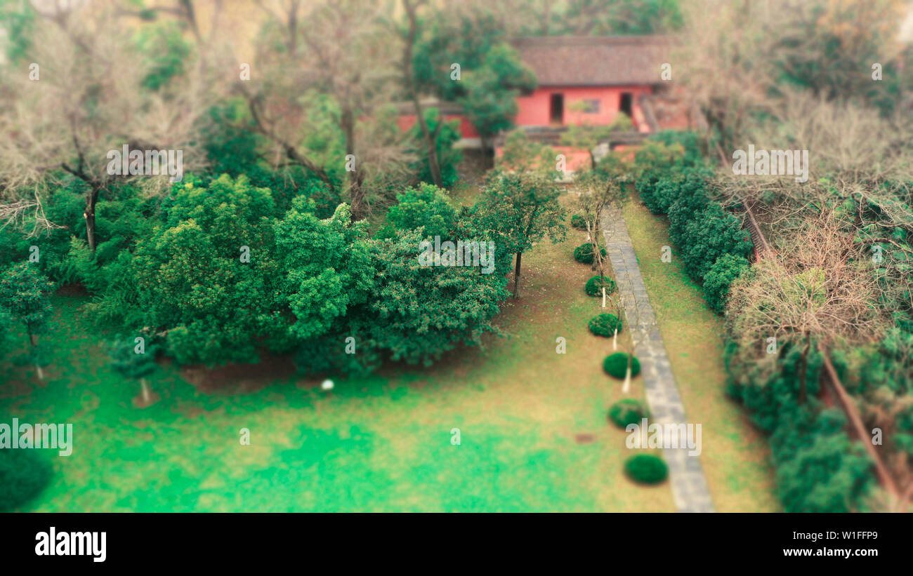 Flora wood hi-res stock photography and images - Alamy