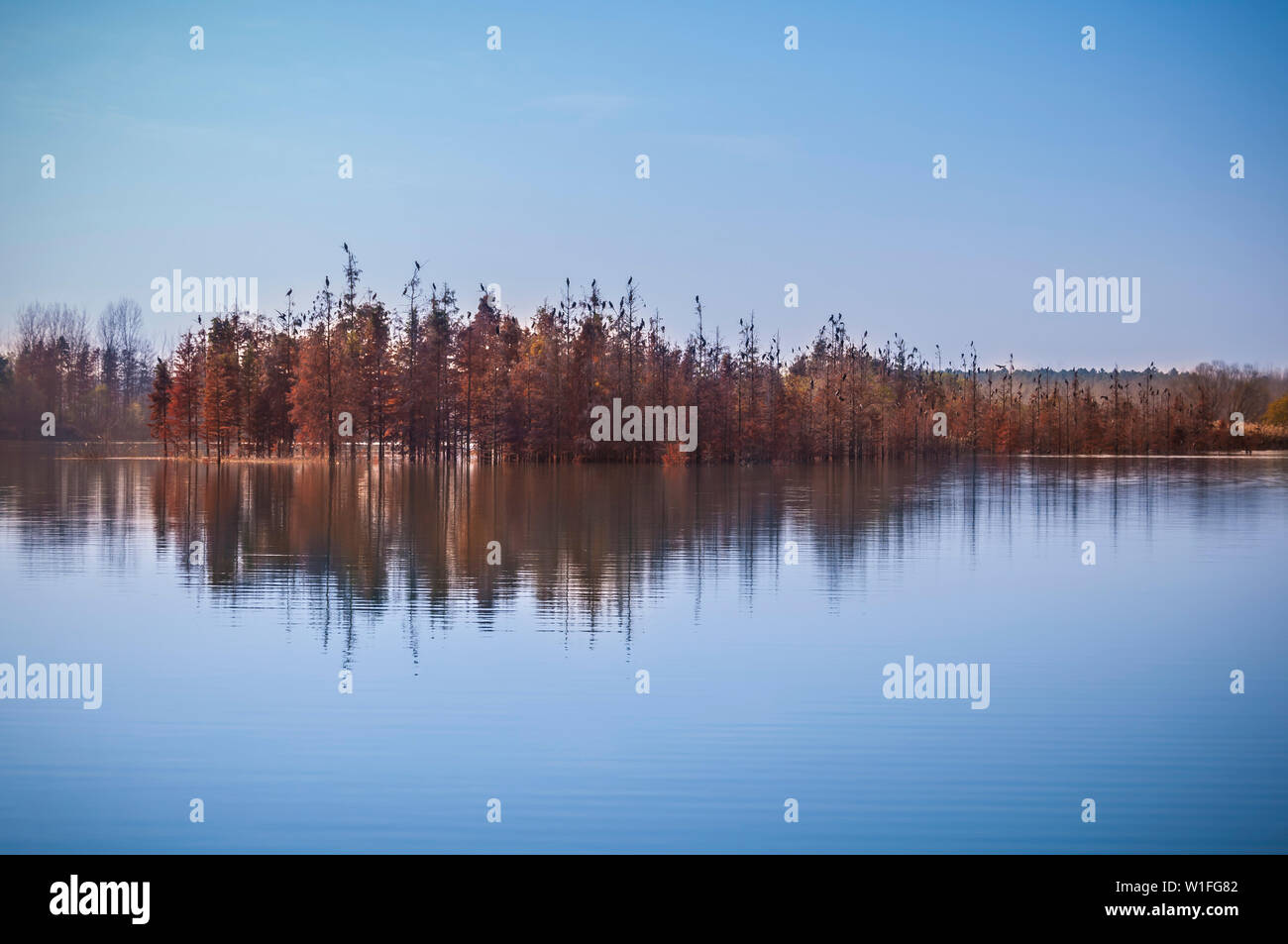 fall landscape water reflection nature Stock Photo - Alamy