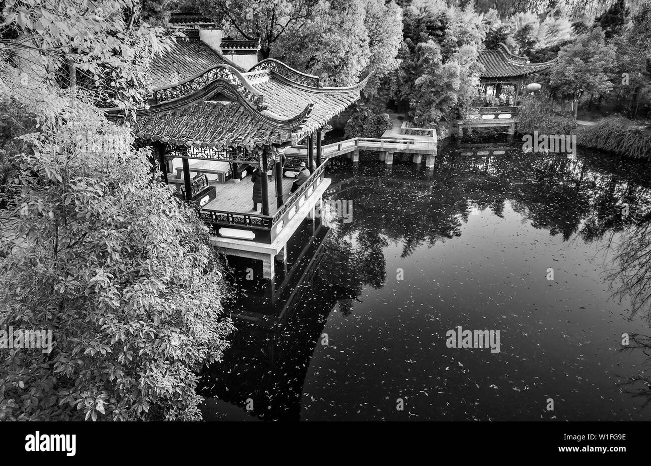 water architecture tree travel Stock Photo - Alamy
