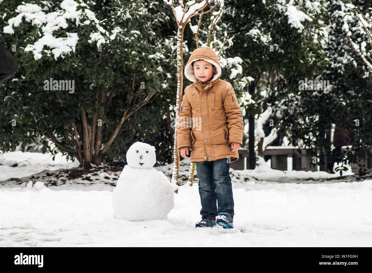 cold people tree winter one Stock Photo - Alamy