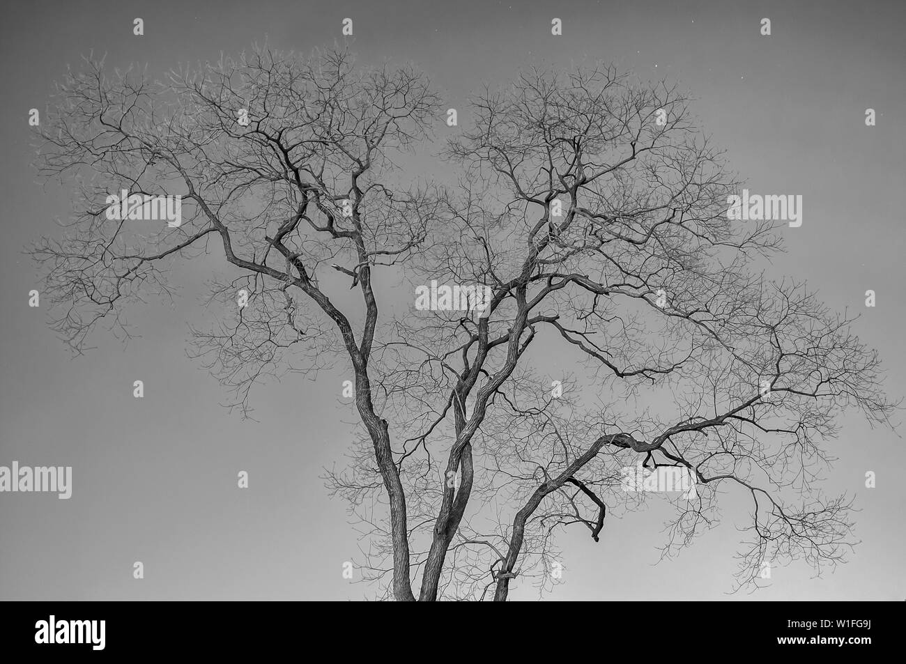 Wood and weather hi-res stock photography and images - Alamy
