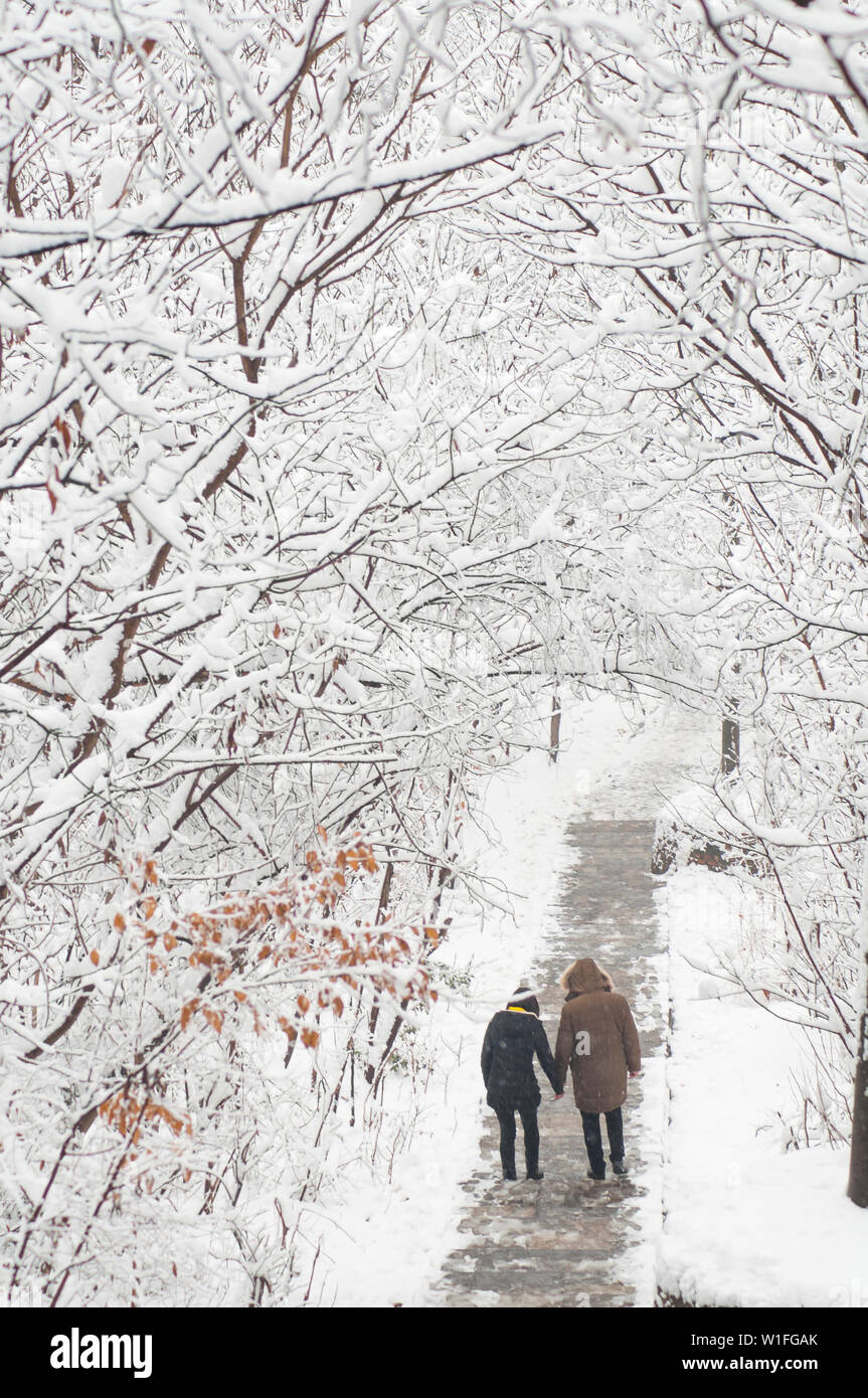 Frost weather hi-res stock photography and images - Alamy