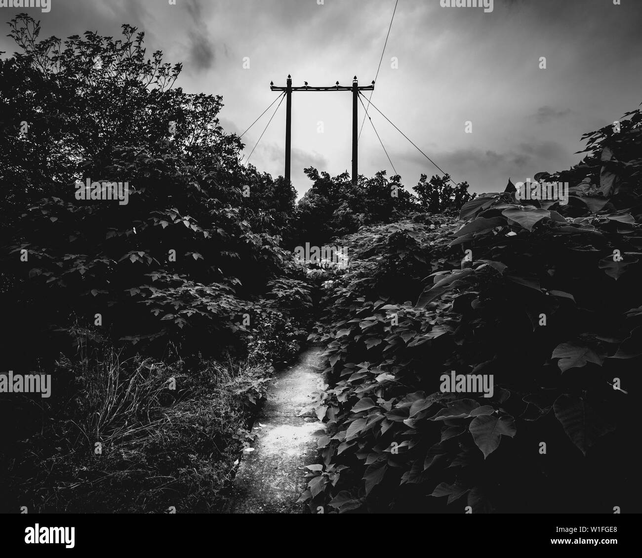 sky silhouette sunset monochrome Stock Photo - Alamy