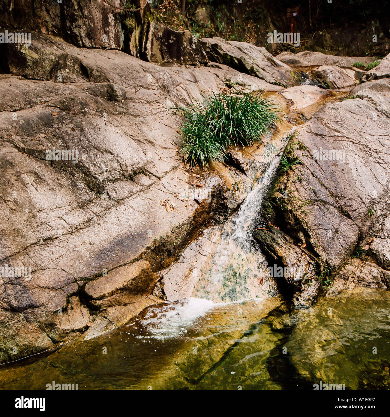 tree river stream mountain waterfall Stock Photo - Alamy