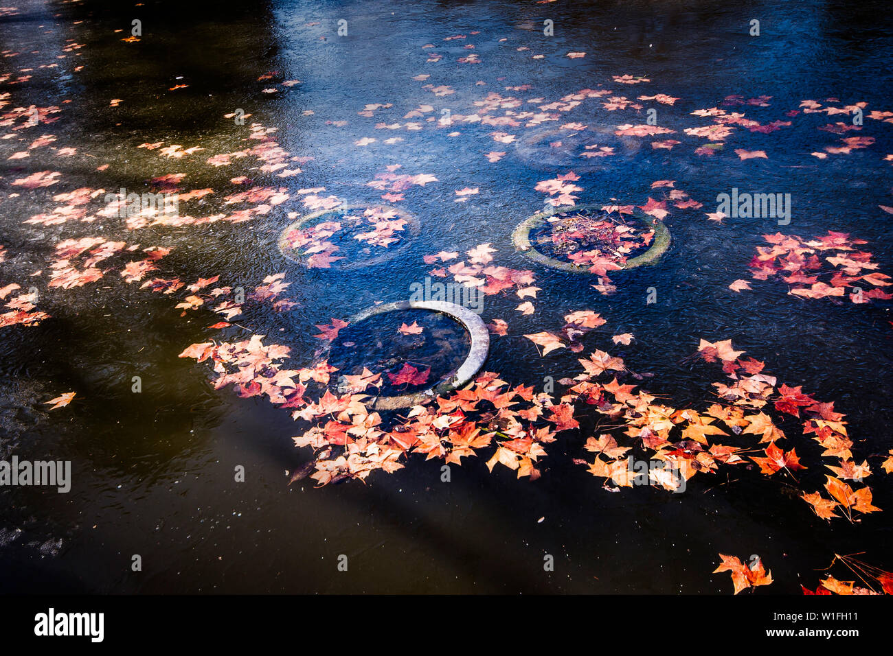 fall outdoors water reflection lake Stock Photo - Alamy