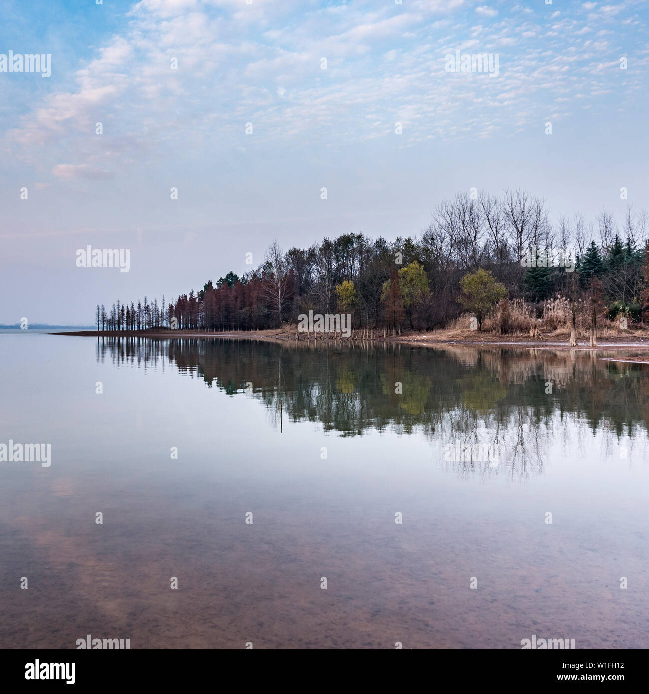 landscape river tree lake reflection Stock Photo - Alamy
