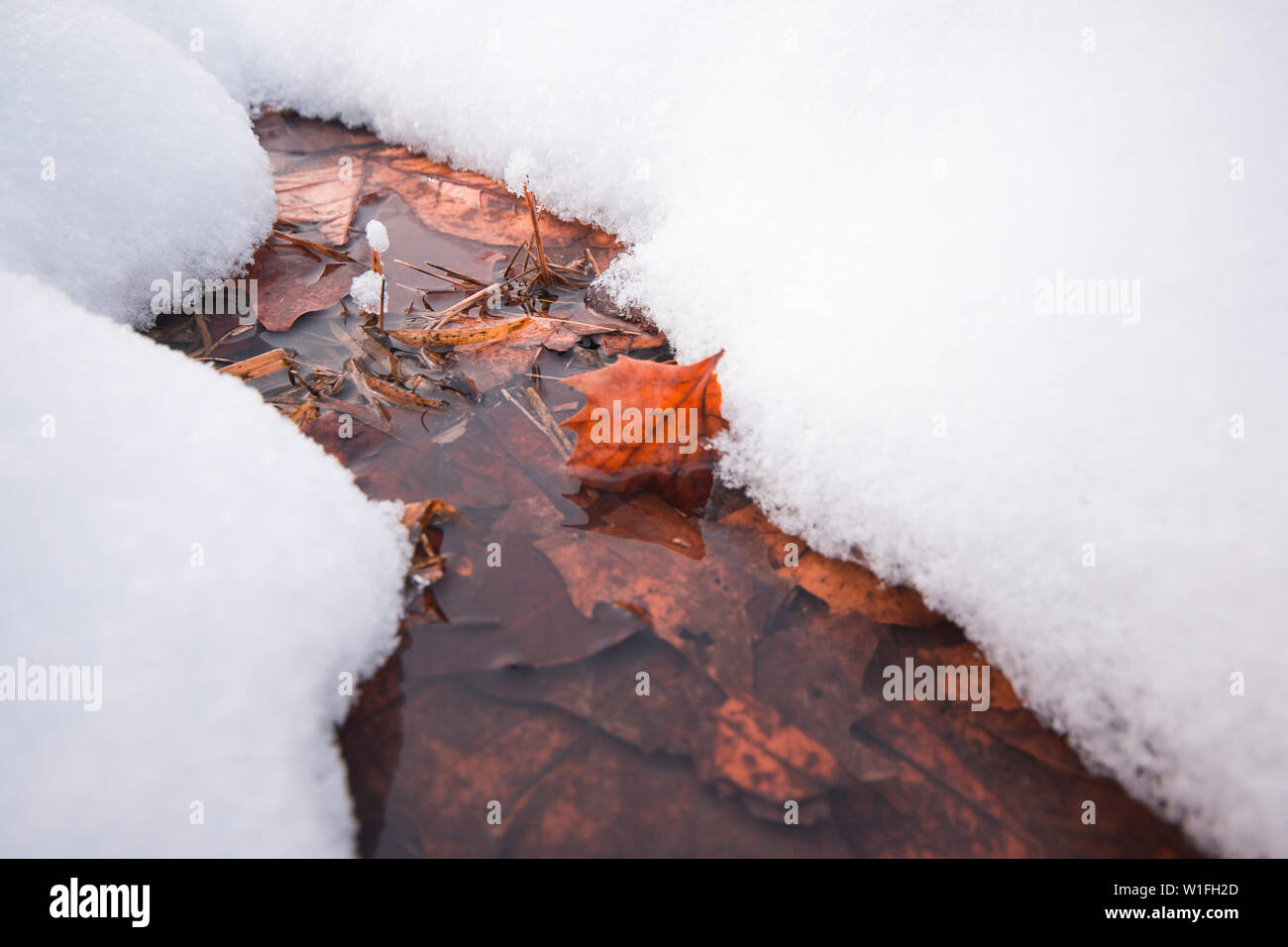 snow frozen winter cold ice Stock Photo - Alamy