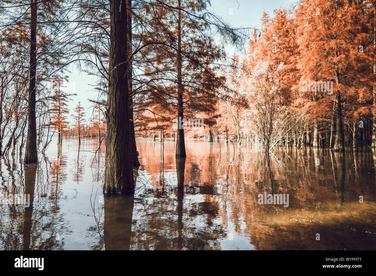 Wood season hi-res stock photography and images - Alamy
