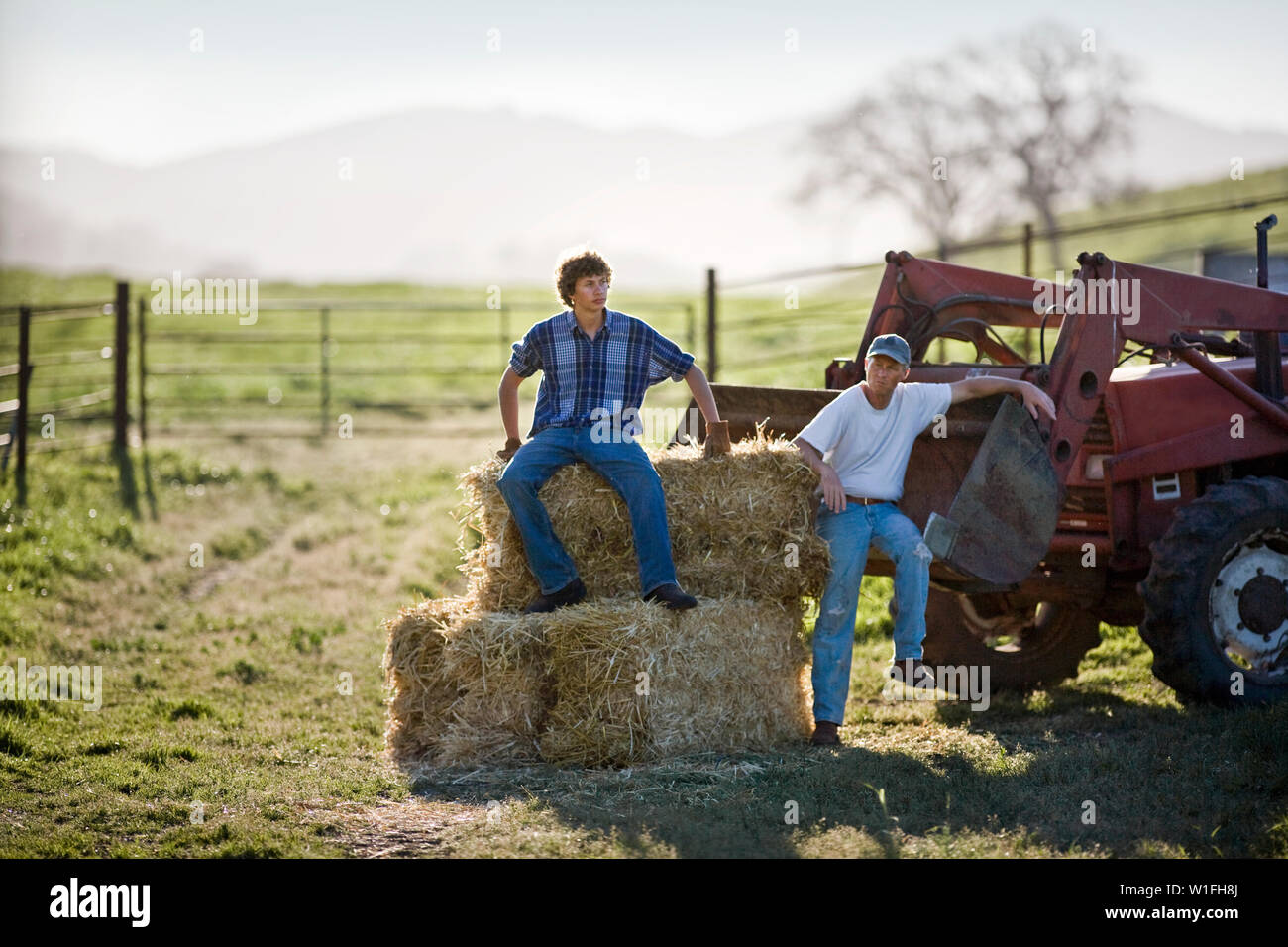 Man and his teenage son working on a farm Stock Photo - Alamy