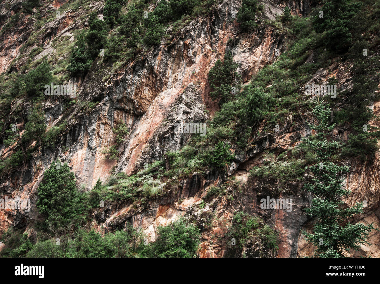 outdoors mountain rock wood landscape Stock Photo - Alamy