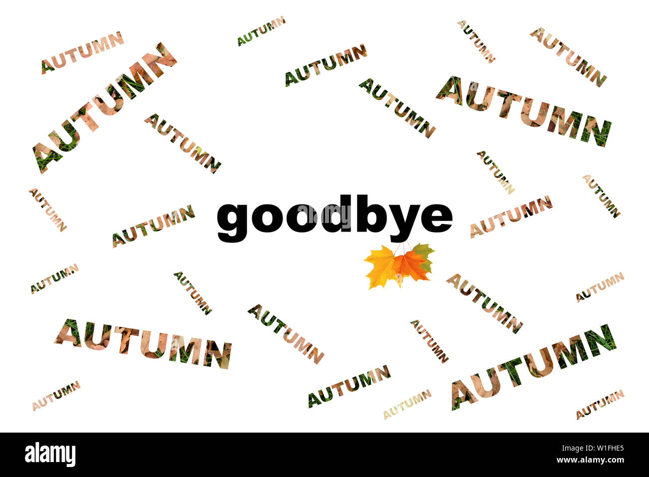 Slogan Autumn Goodbye on a white background. Seasons, autumn theme with ...