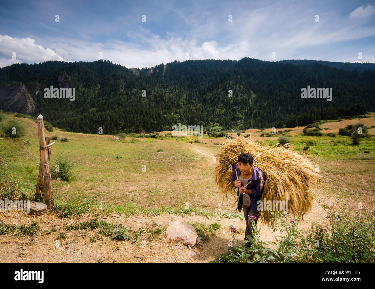 Flat groun hi-res stock photography and images - Alamy