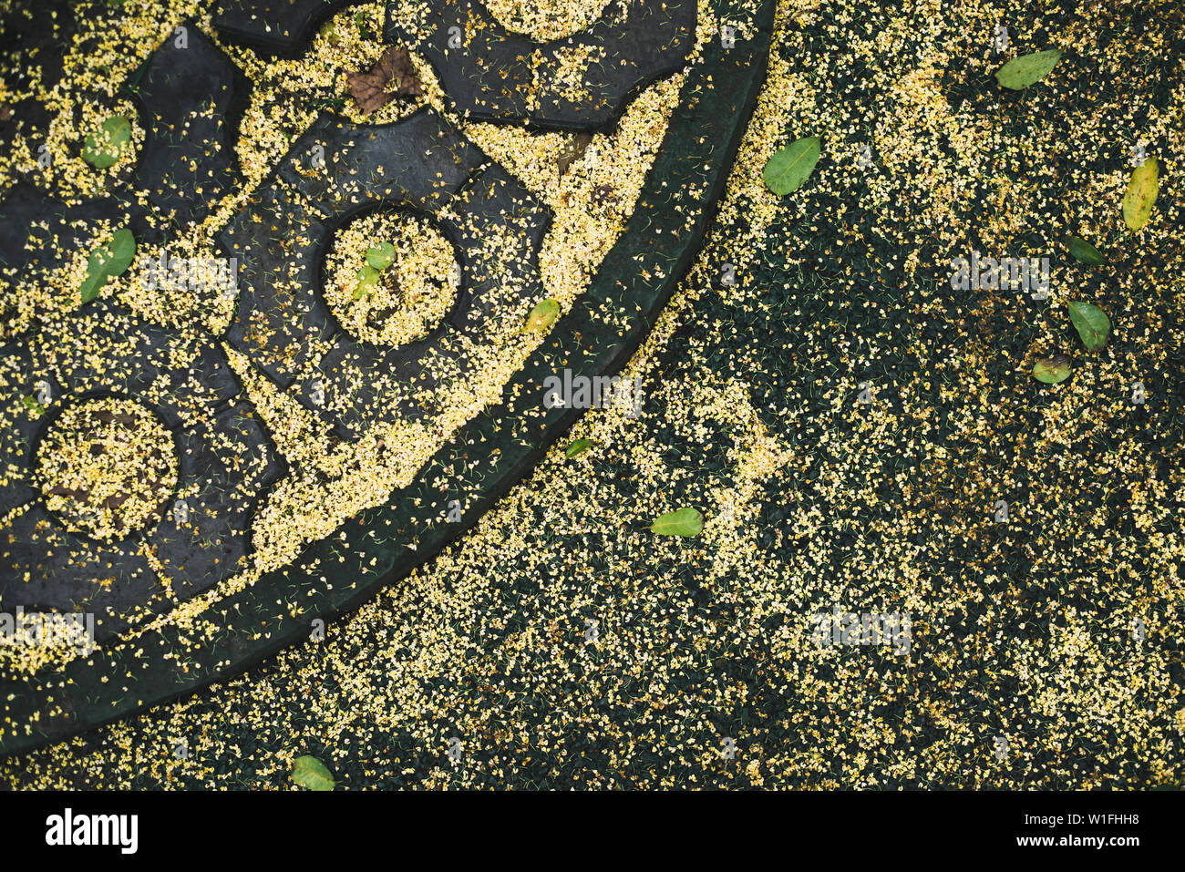 color wallpaper vintage background old Stock Photo - Alamy