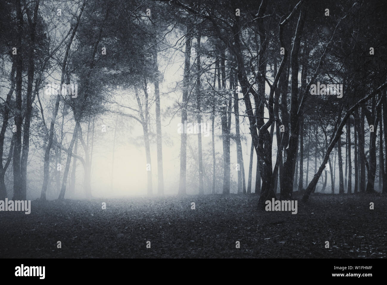 fog tree landscape mist wood Stock Photo - Alamy