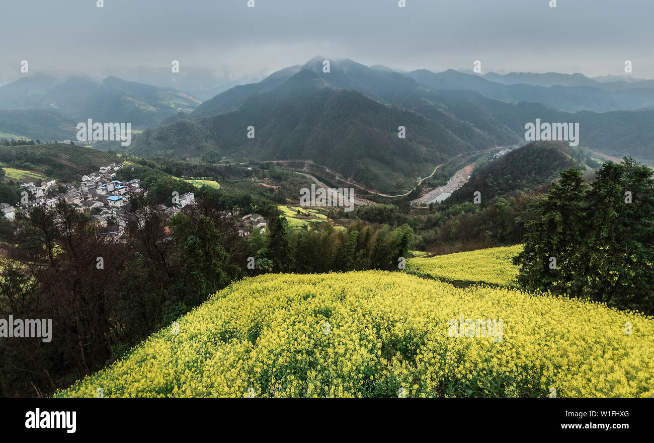 tree travel mountain cropland landscape Stock Photo - Alamy